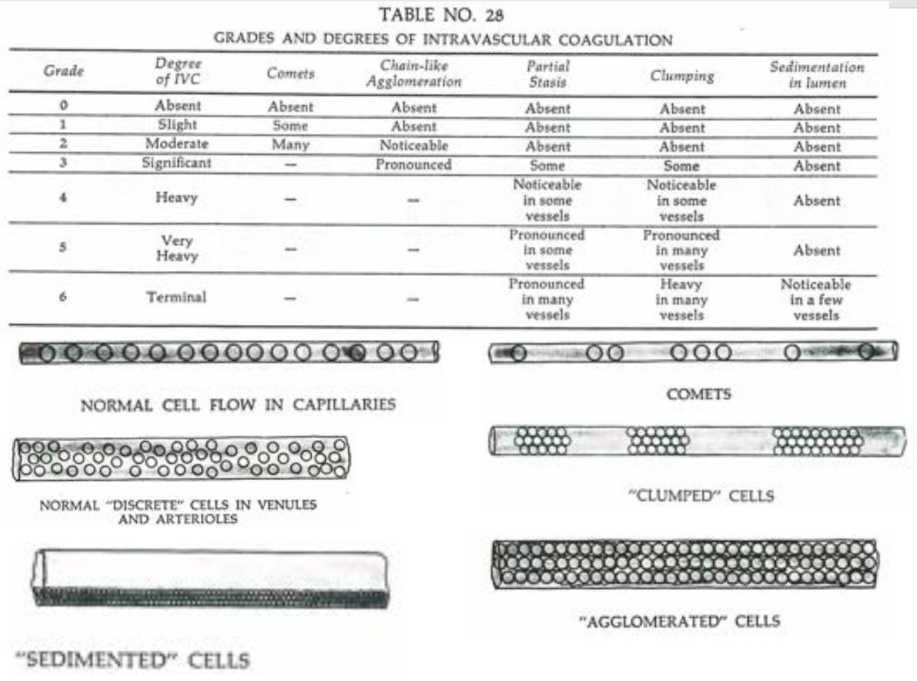 Blood Circulation, Zeta Potential, and Vaccines | Chromographics Institute