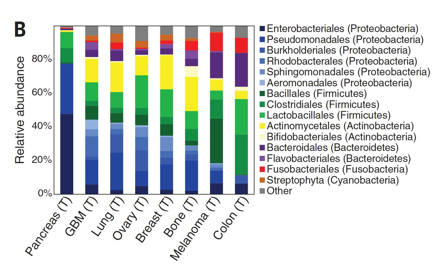 The fascinating and evolving story of bacteria and cancer