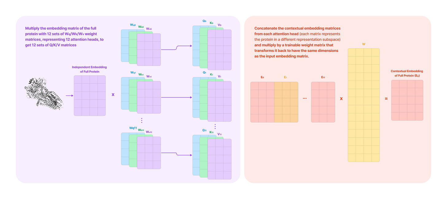 MolTrans: Transformers for Drug-Target Interaction Prediction