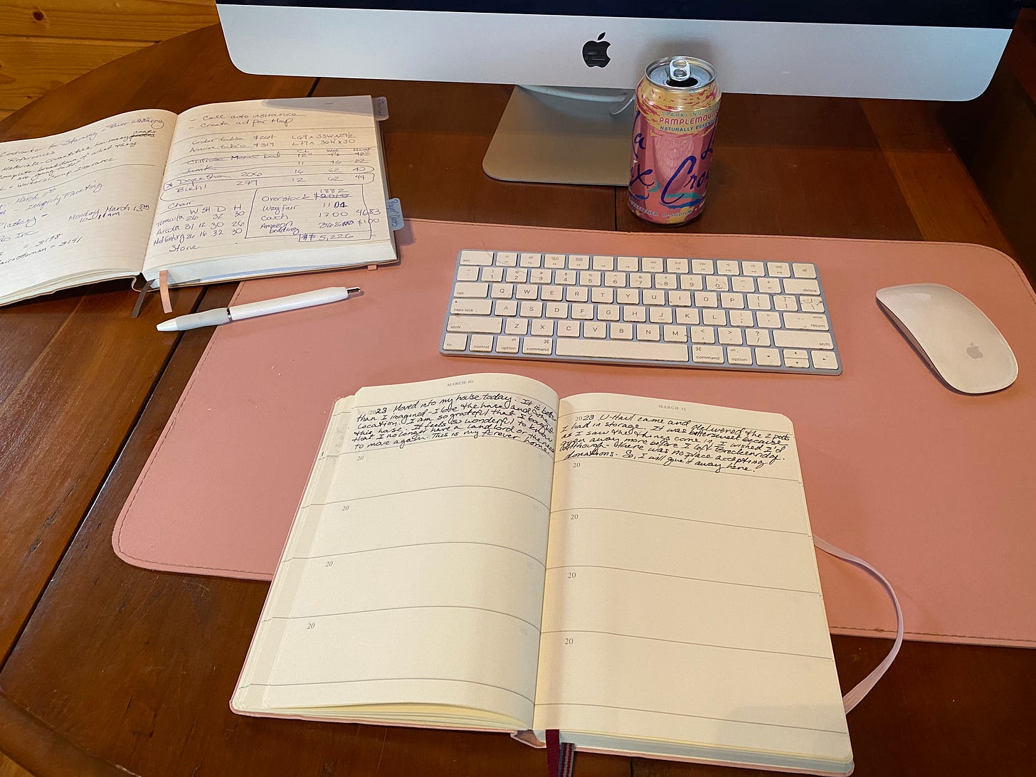 Suzanne Elizabeth Anderson Newsletter | Sundays with Suzanne | Substack