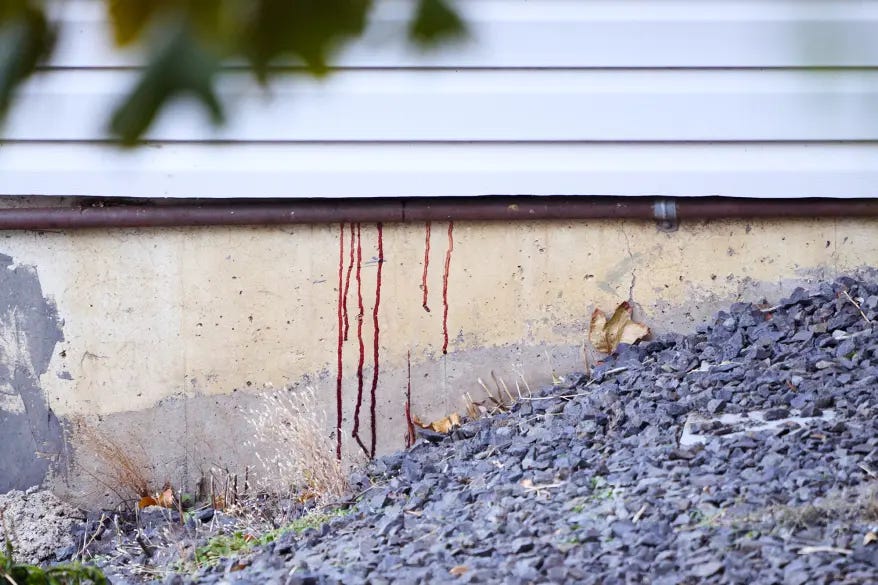 Moscow Murders: Update 3 - by Jessica Reed Kraus