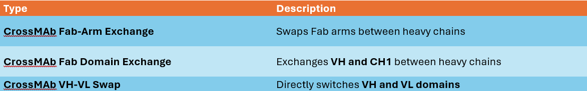 Multispecific Antibodies (msAbs), A Complete Overview
