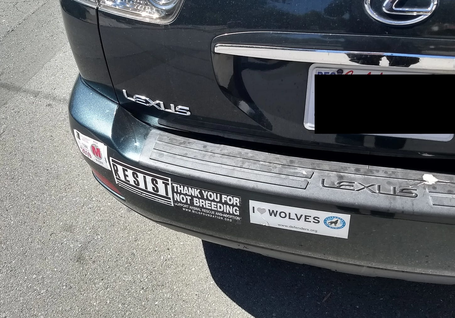 Seen In The Bay - by Scott Alexander - Astral Codex Ten