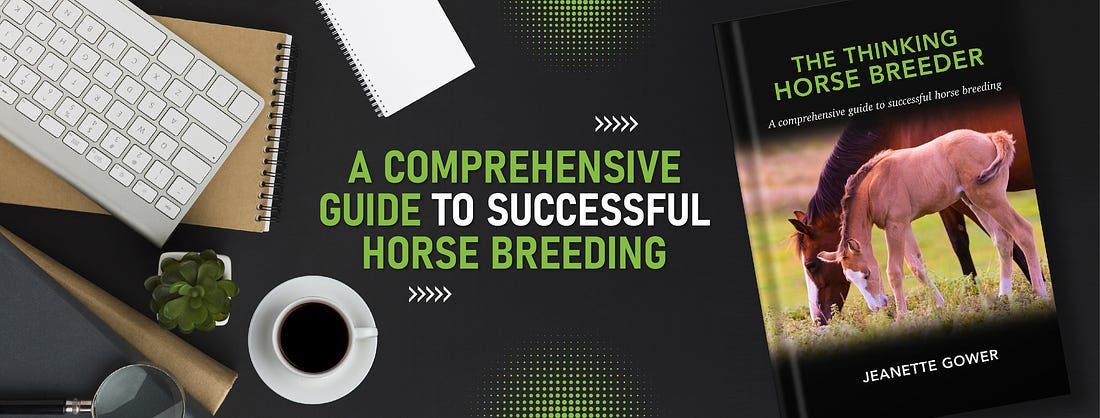 If You're Not Using This Space On Substack, You're Wasting An Opportunity