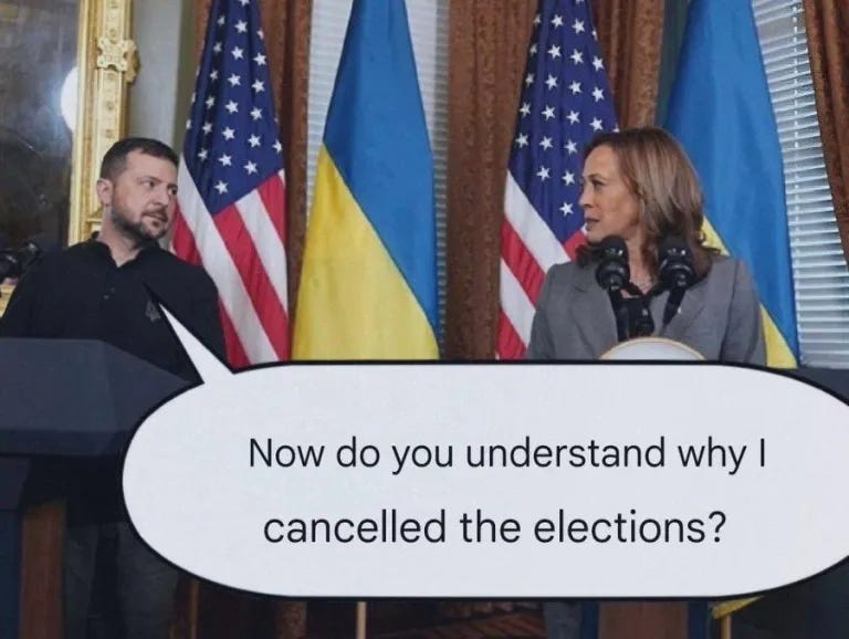 Ann Barnhardt Memes - Edwin’s Newsletter #1