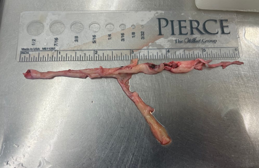 Tis mystery all - by John Campbell - John’s Substack