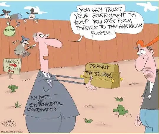 Ann Barnhardt Memes - Edwin’s Newsletter #1