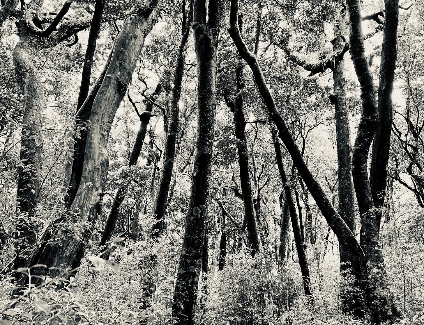 Land covenants redux - by Dave Heatley