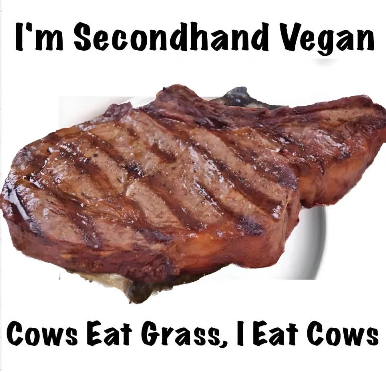 Ann Barnhardt Meme Barrage - Edwin’s Newsletter #1