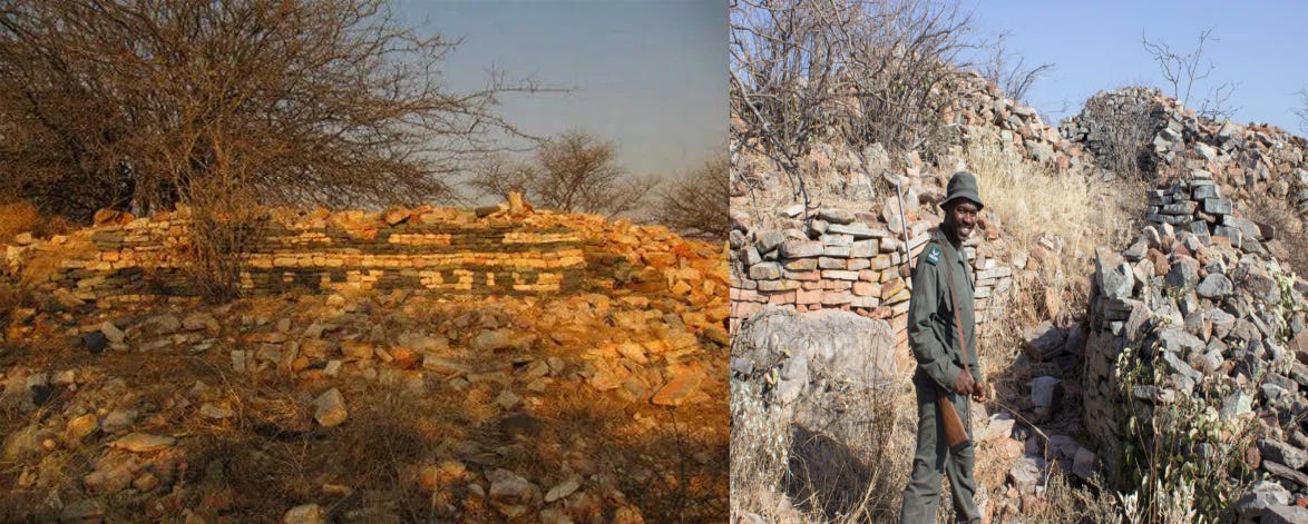 The stone ruins of South Africa: a history of Mapungubwe, Thulamela and ...