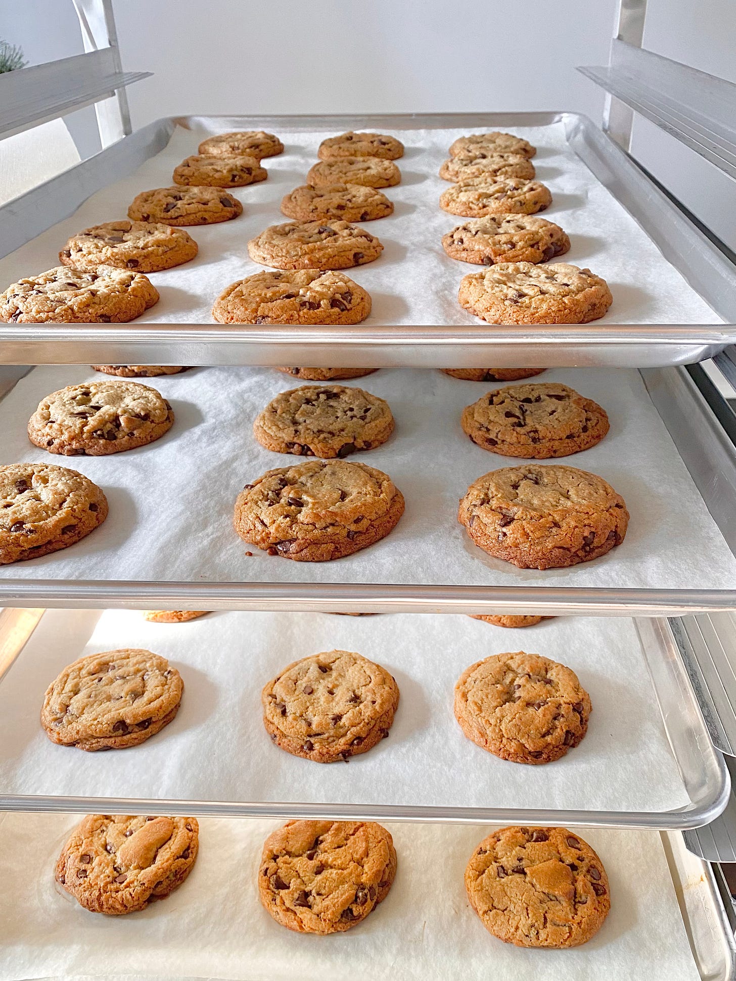 My Recipe For Thick and Chewy Chocolate Chunk Cookies