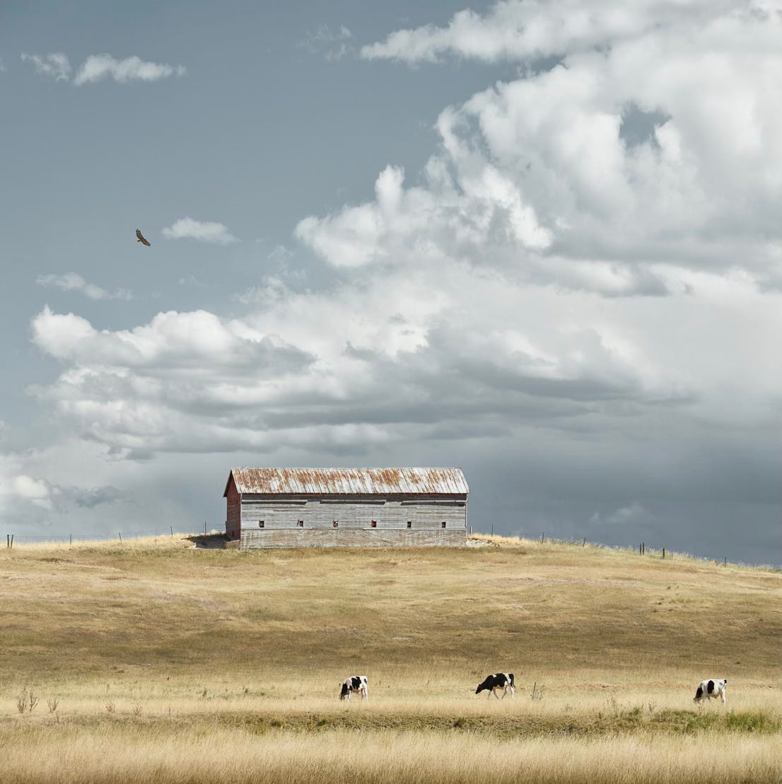 Jim Westphalen - PHOTOSNACK