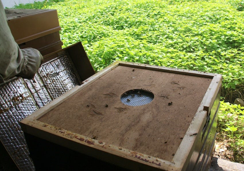 Techniques de récolte du miel - by Philippe Royer