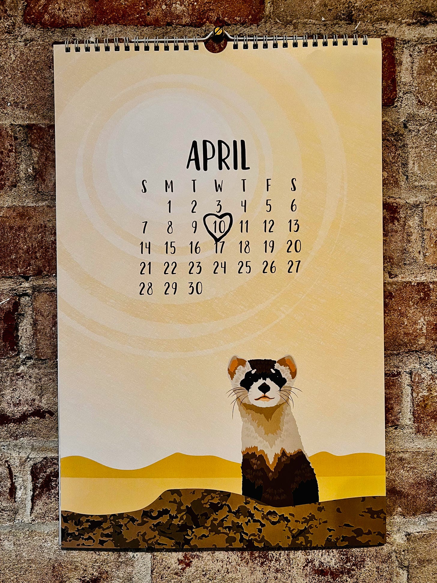 First Comes Love.... - by Connie Schultz - Hopefully Yours