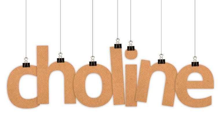 Can Choline Help With Our Pain Epidemic?