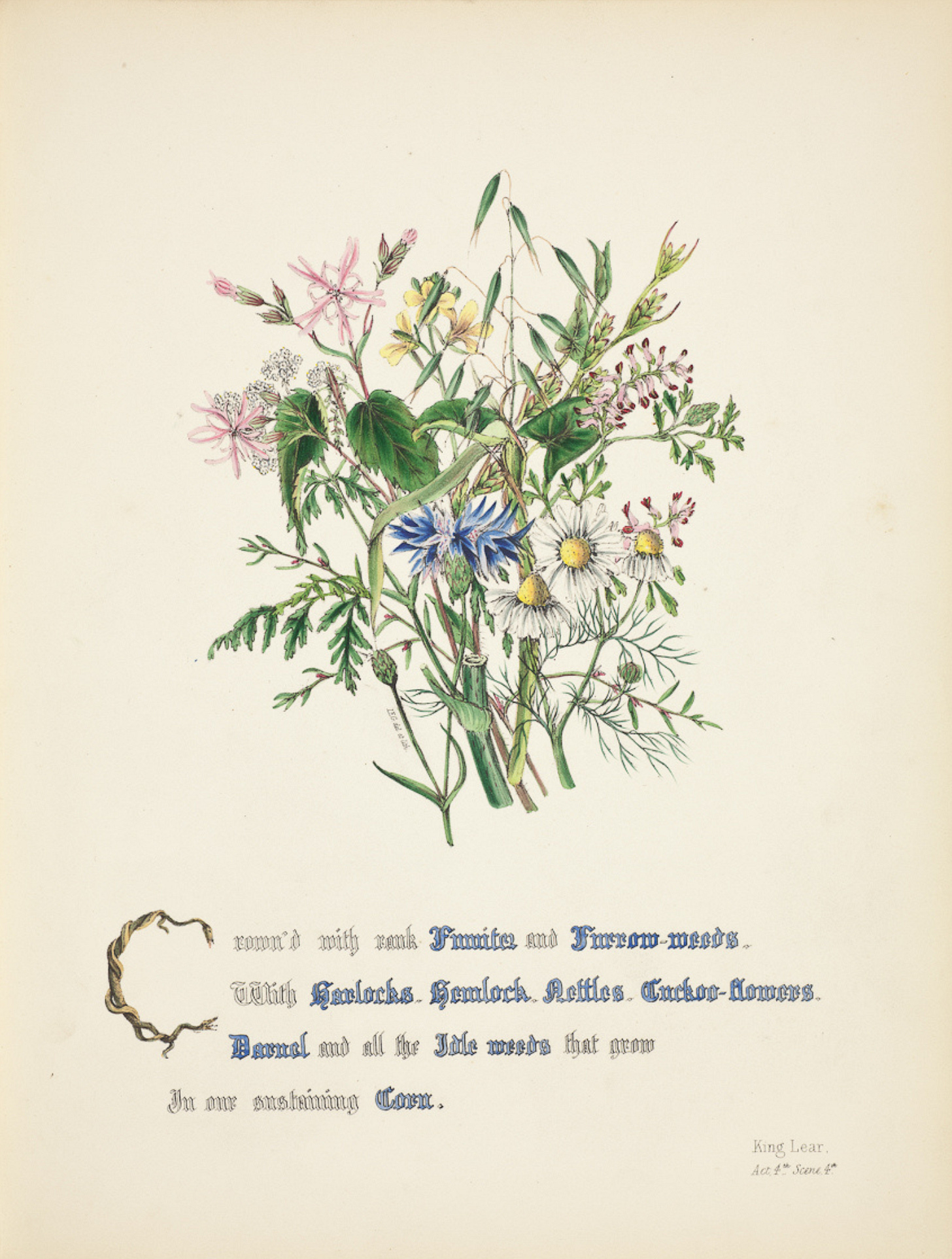 The Shakespeare Garden: Jane Elizabeth Giraud's Posies and Elizabethan ...