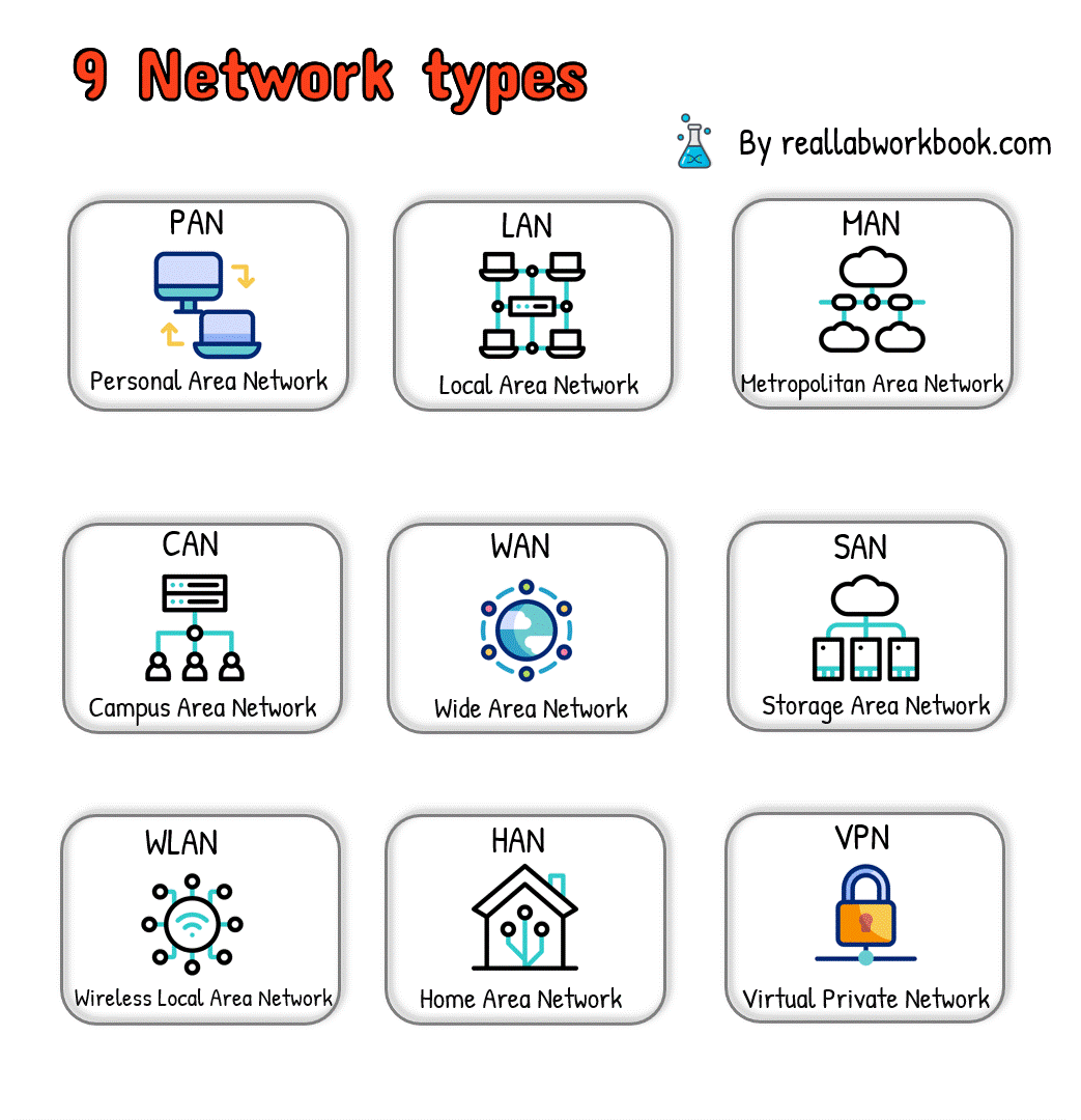 What is Network ? - by Rose White - Real Lab Workbook