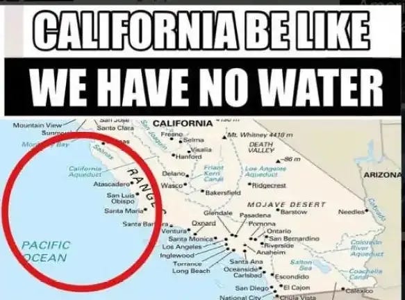 Ann Barnhardt Meme Barrage - Edwin’s Newsletter #1