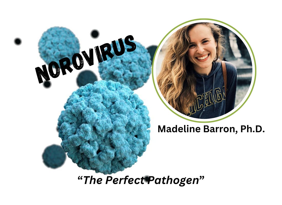Norovirus: Some interesting things we're learning about the 'Perfect ...