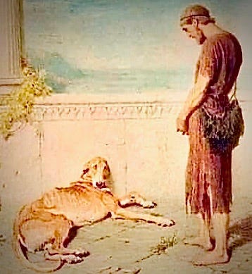 Argos, the Dog of Odysseus - by Armand D'Angour