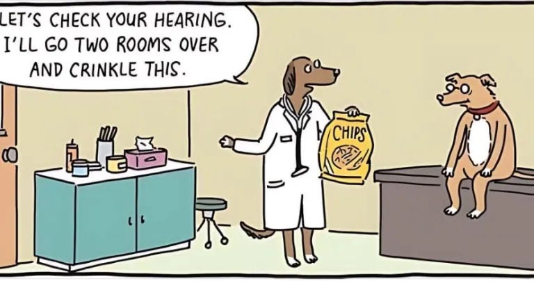 Ann Barnhardt Memes - Edwin’s Newsletter #1