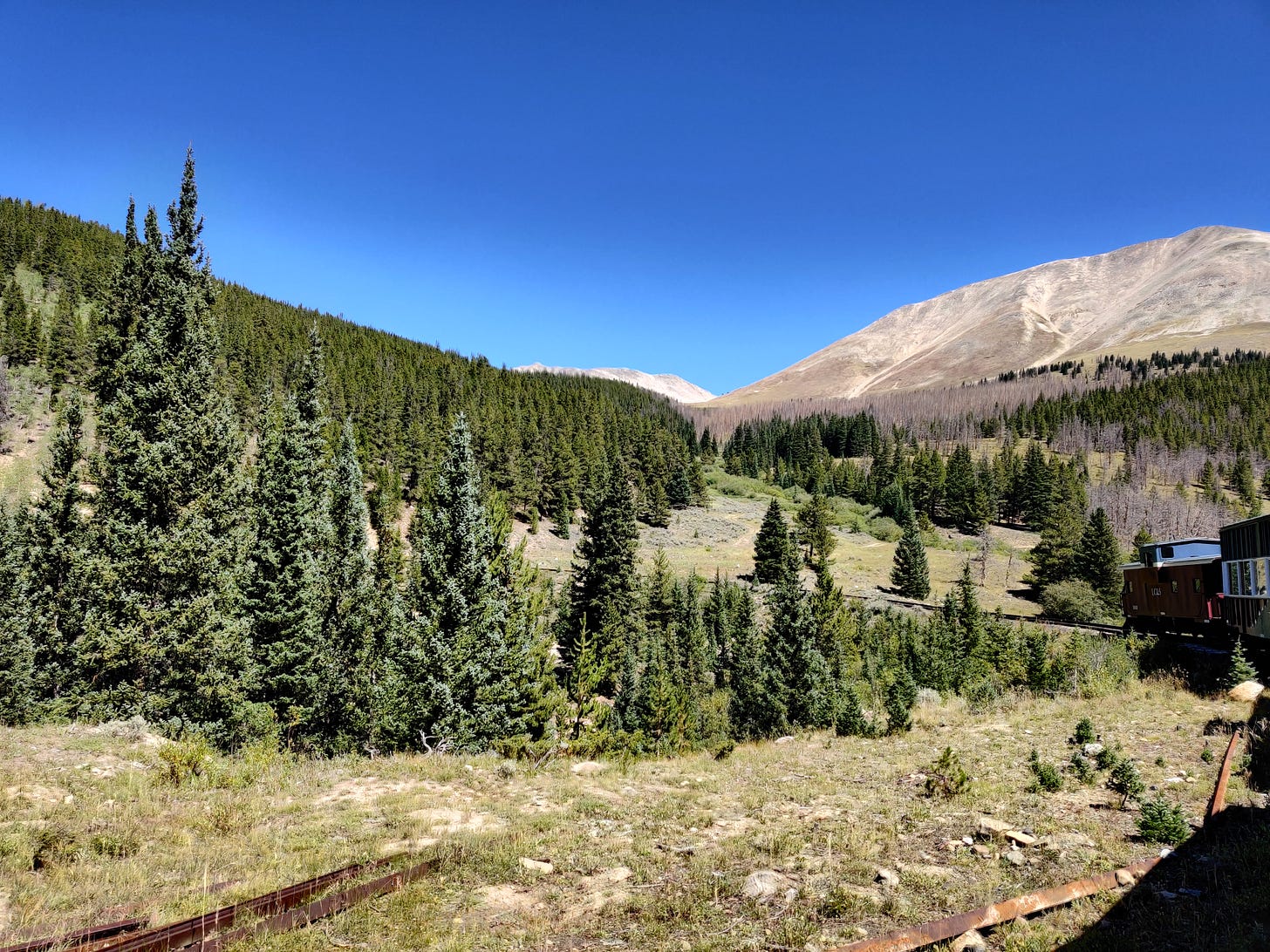 Genesis 29:31-30:24: Jacob's Children - by Karen Hoffman