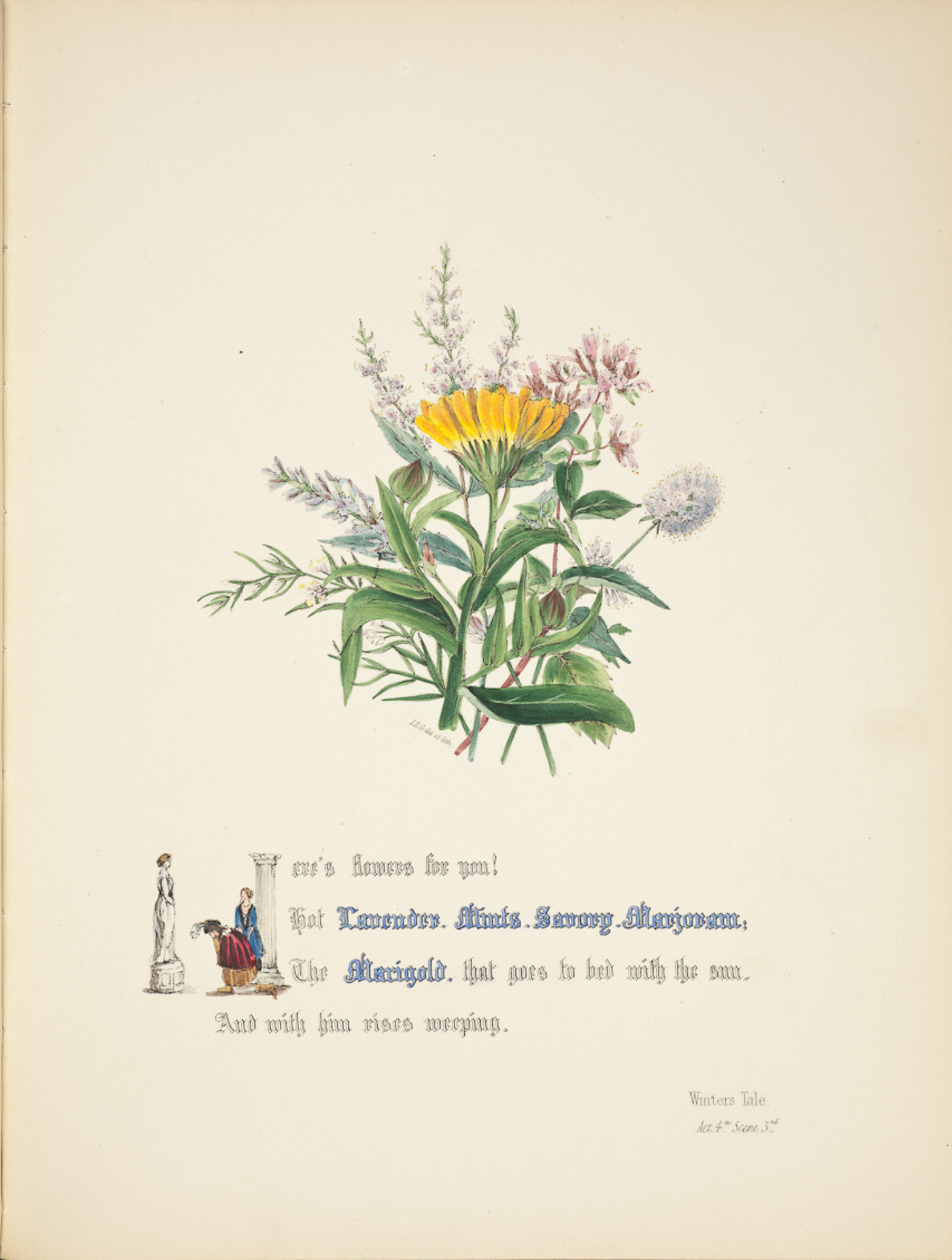 The Shakespeare Garden: Jane Elizabeth Giraud's Posies and Elizabethan ...