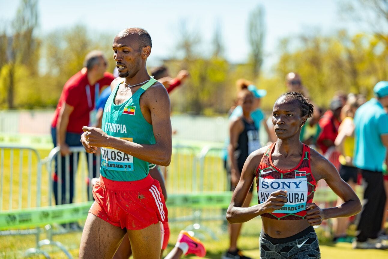 800m Training 101⏱ - The Lap Count