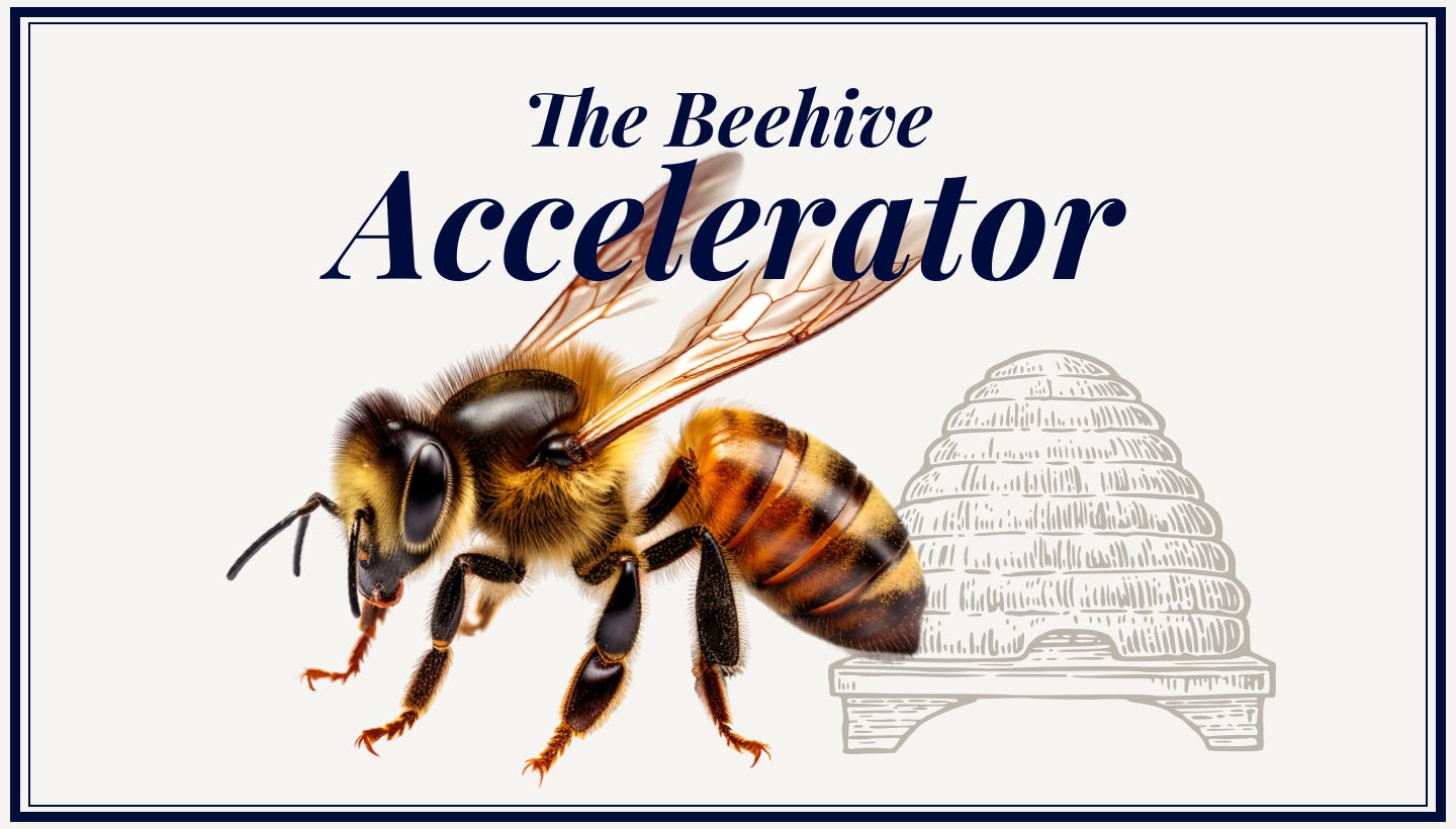 Beehive Startups | Substack
