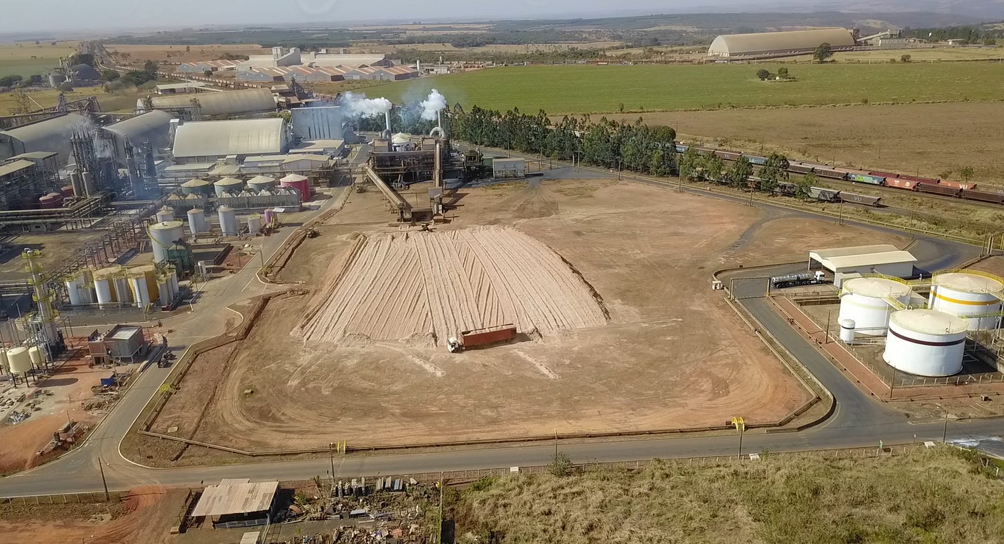 CJ Selecta Accelerates ESG Management to Stop Amazon Deforestation