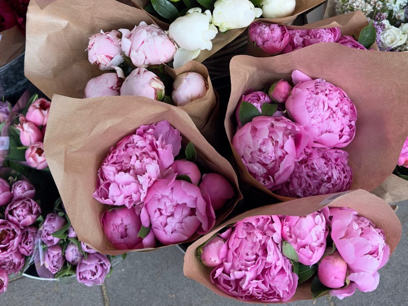 London Recommendations /001 - by Roséline - Hyperreality