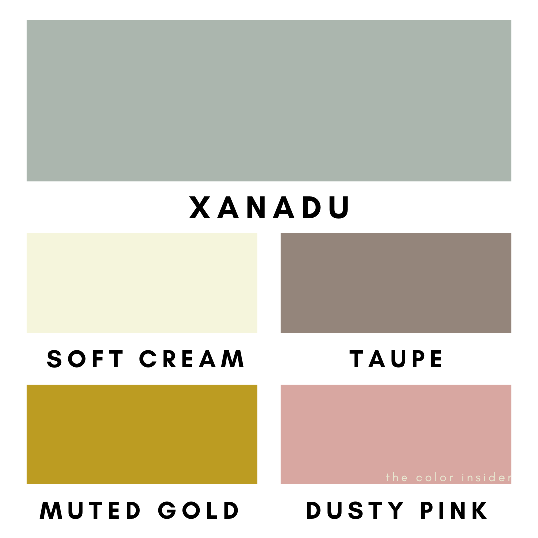 Xanadu - Color Insider