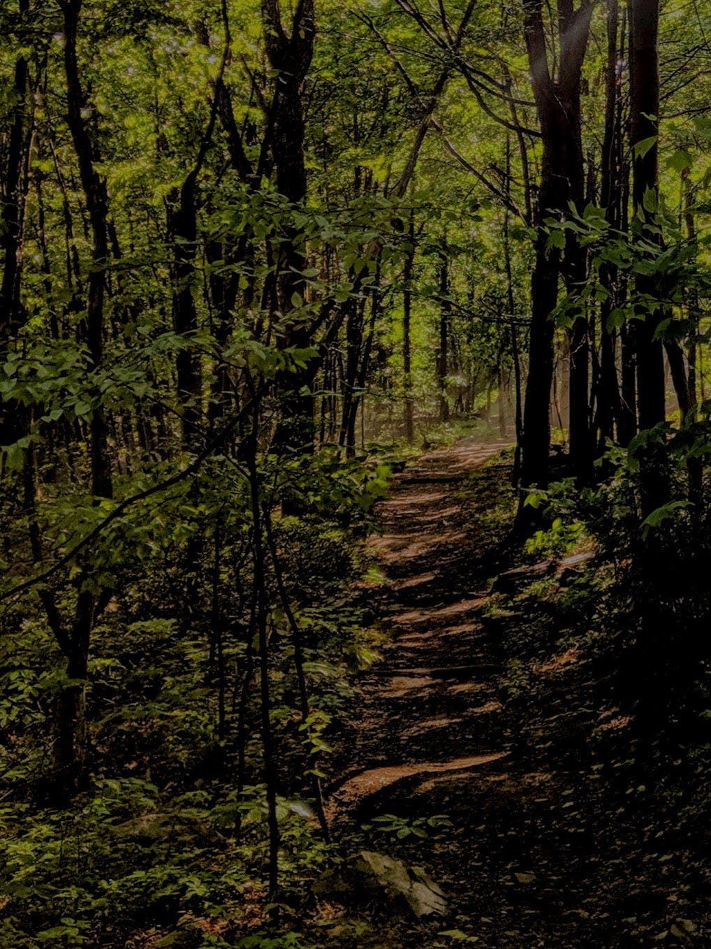 The Sacred Walk - With and Wonder - Chris Rhoden