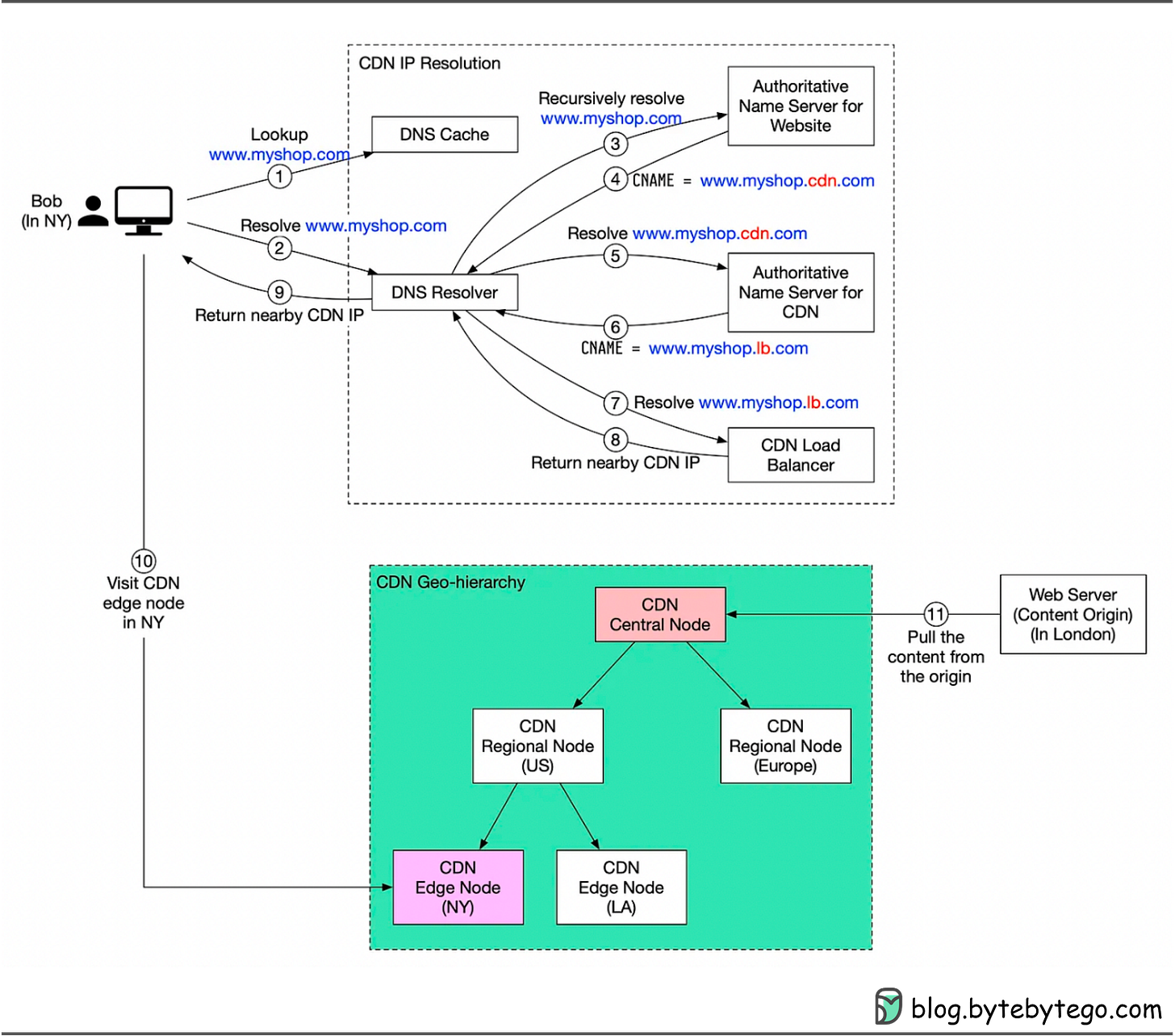 Network Protocols Run the Internet - by Alex Xu