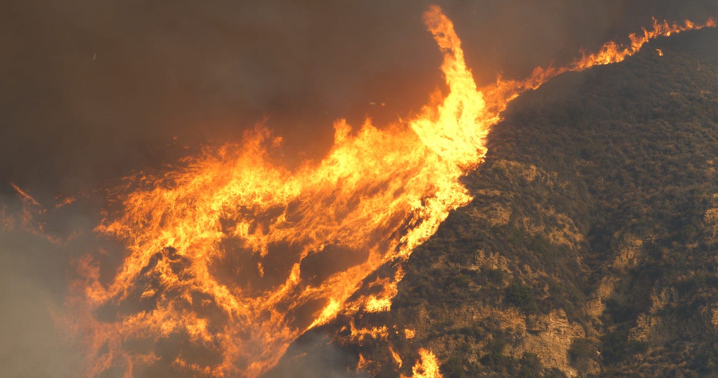 Causes and Potential Solutions to the LA Wildfire Disaster