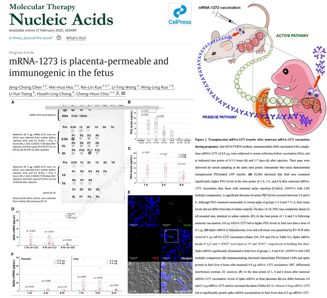 NEW STUDY — Mass mRNA Injection Campaigns Likely Fueling the Global ...