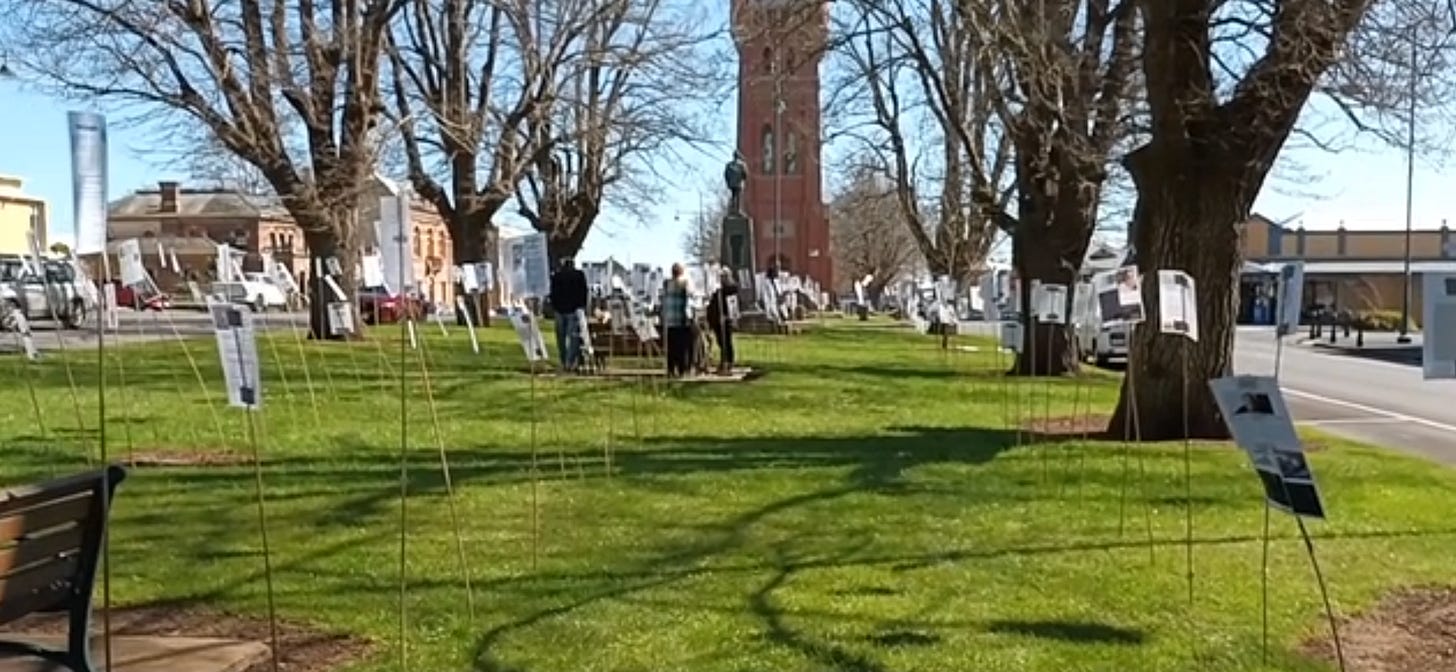 Forest of the Fallen in Camperdown, Victoria, Australia