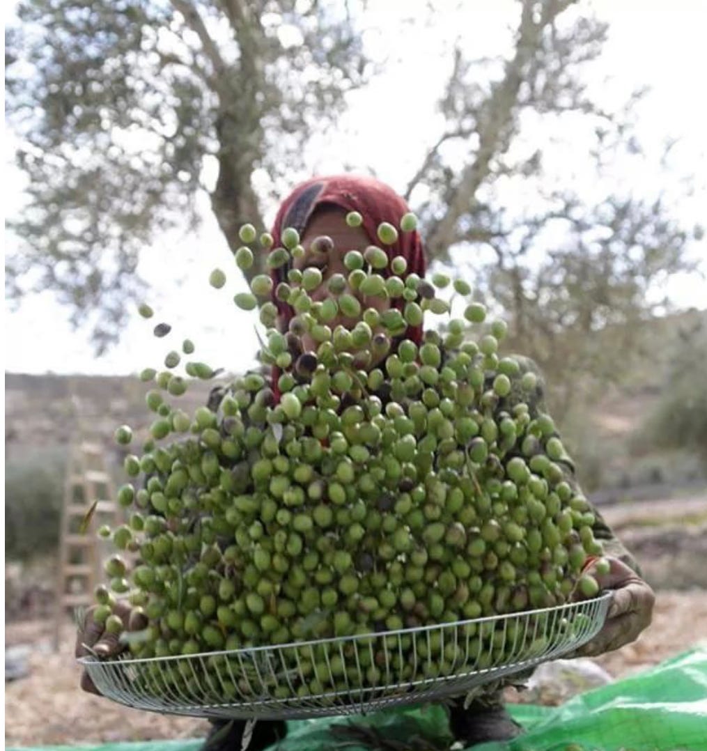 Fresh Off The Press - by Tommy Swerdlow - Feel The Rhythm