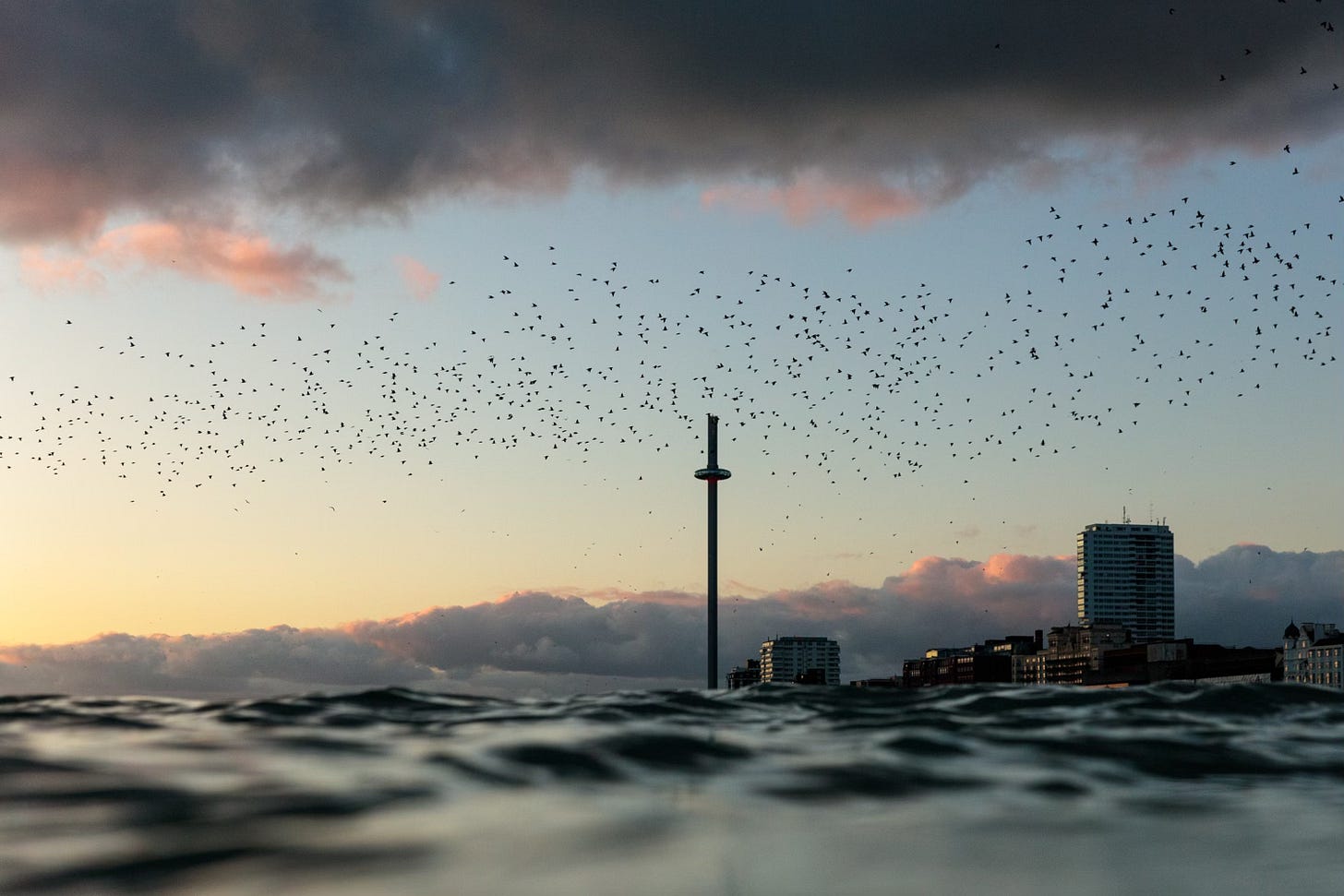 In the bird bath - by Finn Hopson - Now | Here | This