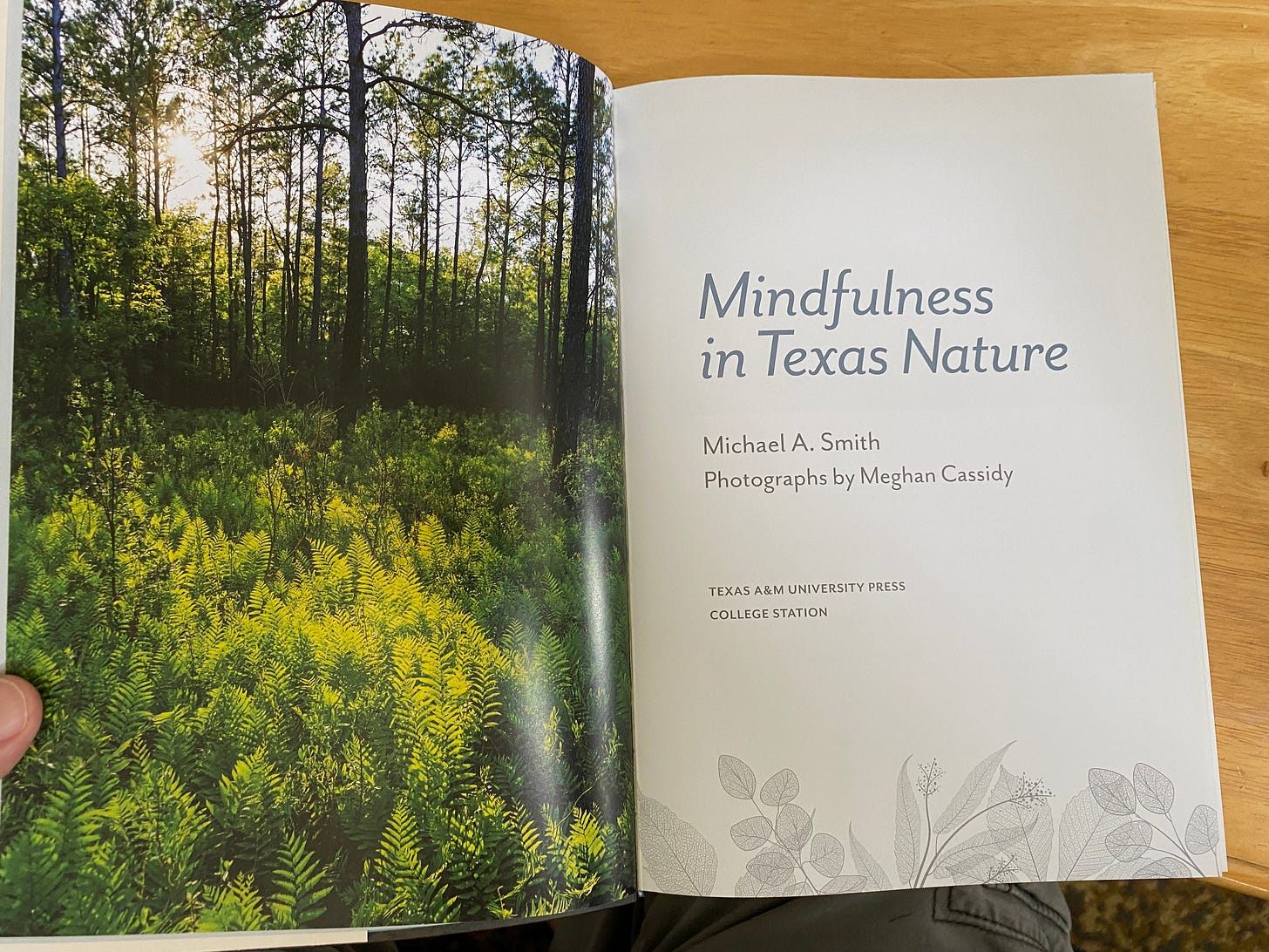 Our Lives In Nature | How nature supports, informs, and inspires our lives