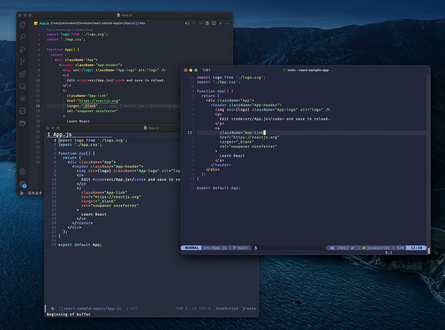 My take on Neovim vs Emacs vs VS Code - by Pavlo Sakalo