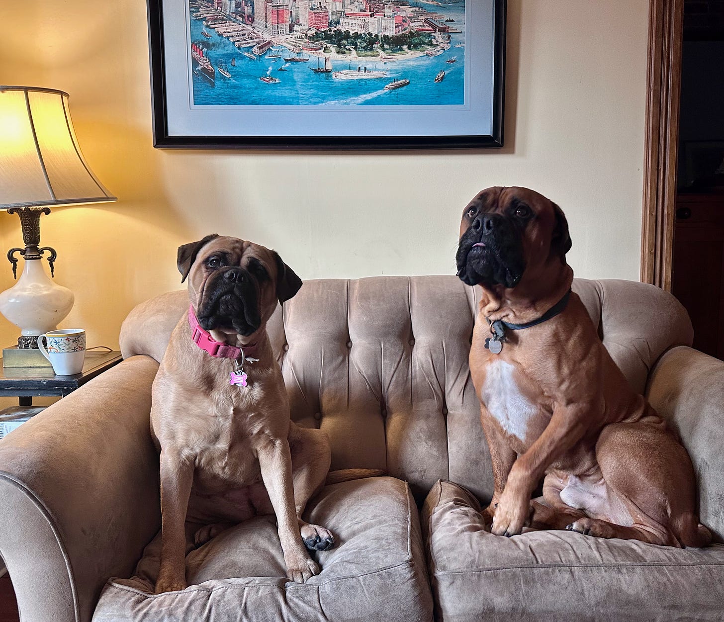 Cocktails With Suderman | Peter Suderman | Substack