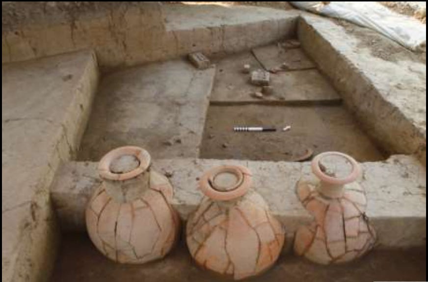 The Sinauli/Indus Valley/Vedic connection - by Yajnadevam