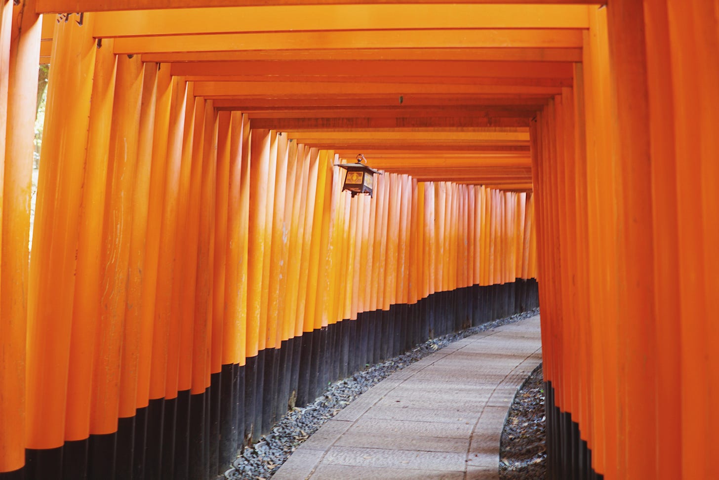 5F in Tokyo and Kyoto, Japan - by Anne Lowrey