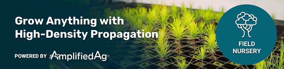 Low-Tech Vertical Farming: The Power Of Growing Upwards