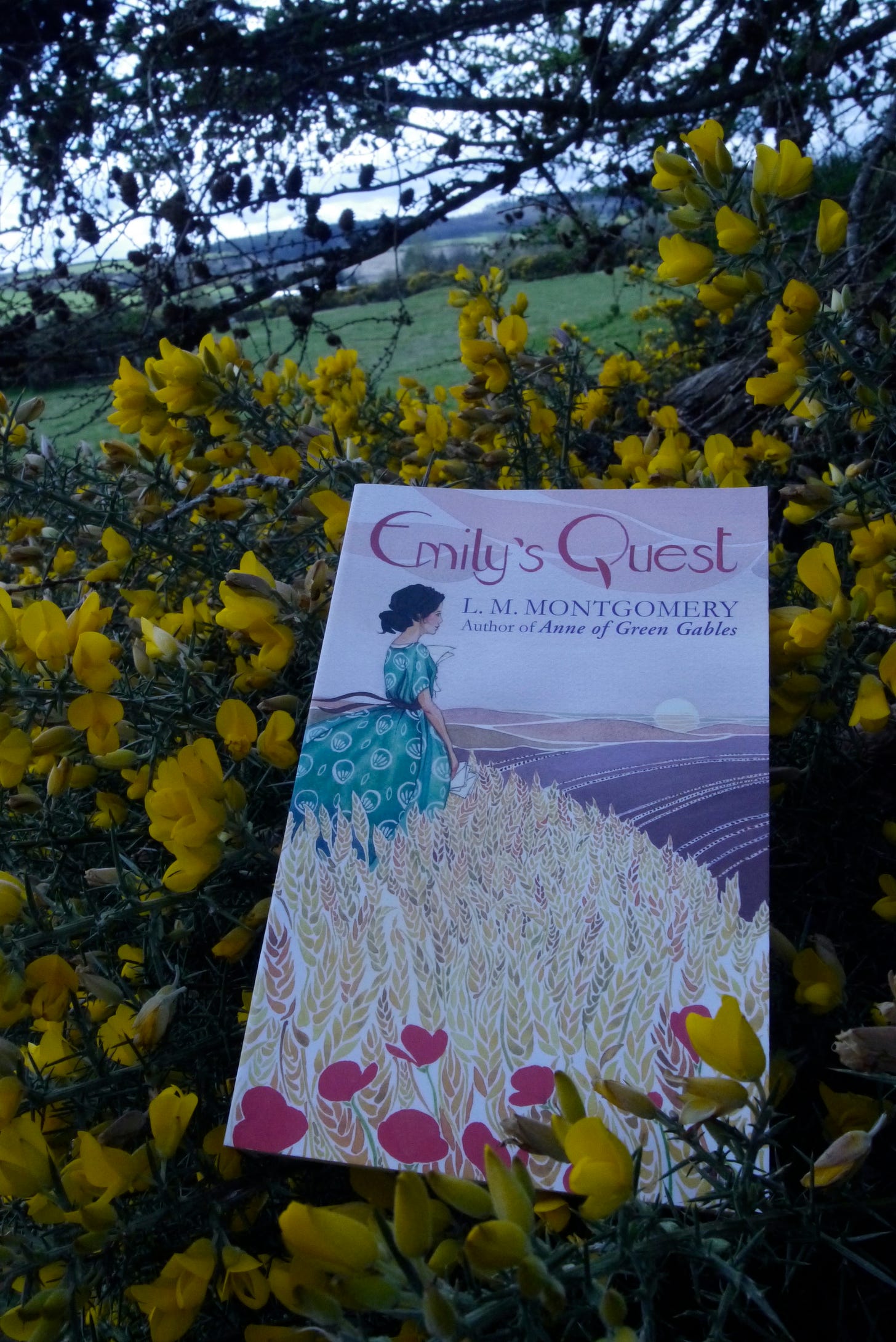 Emily of New Moon - Book Review - by Isabella Ann