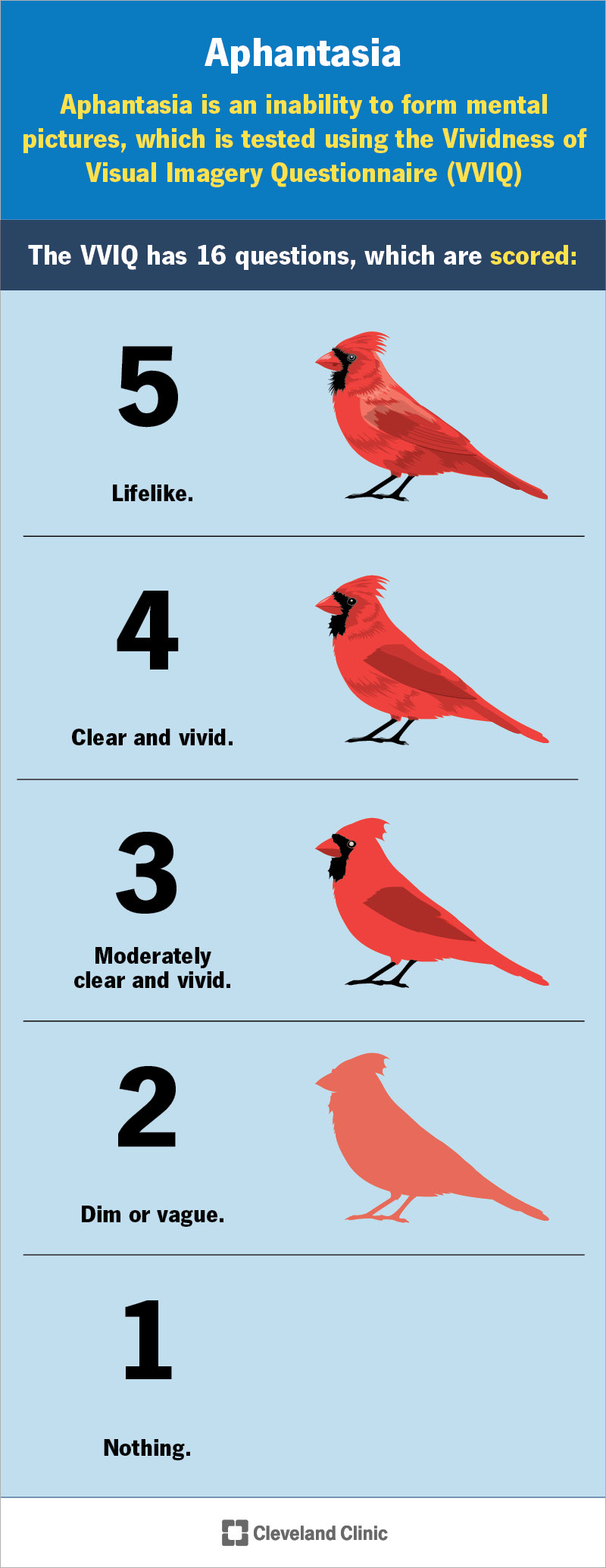 How Your Brain Tells Stories: Visual vs Word-Based Imagination
