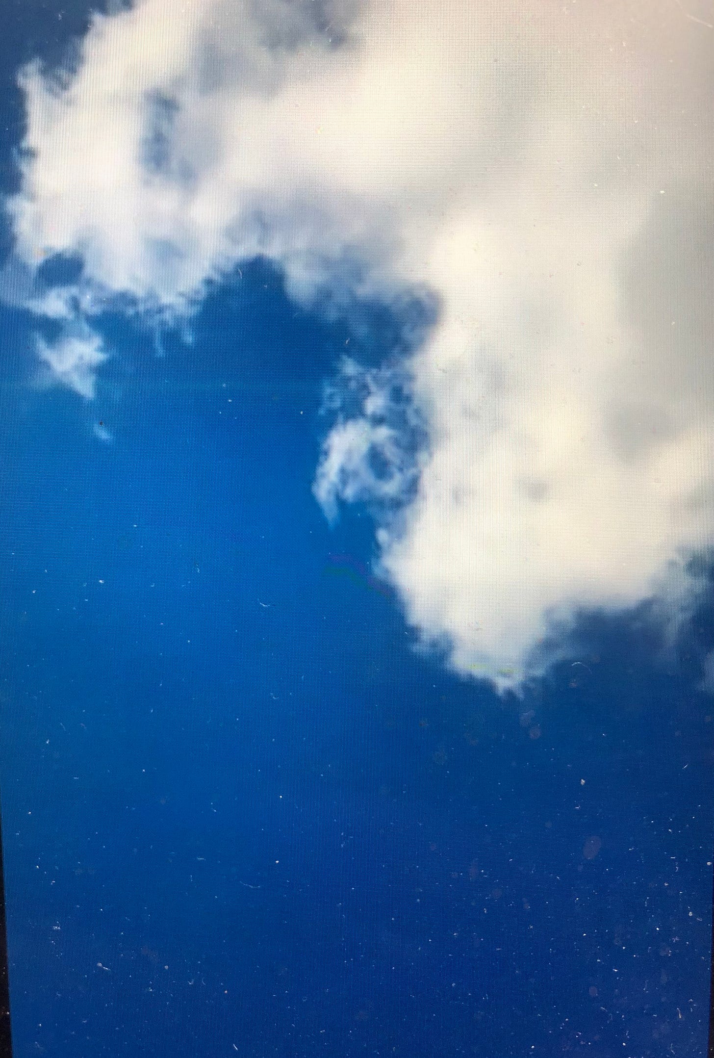 Papers Falling From The Sky? - by Celia Farber