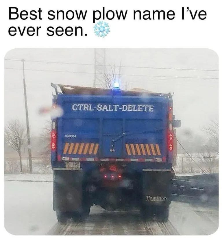 Ann Barnhardt Meme Barrage - Edwin’s Newsletter #1