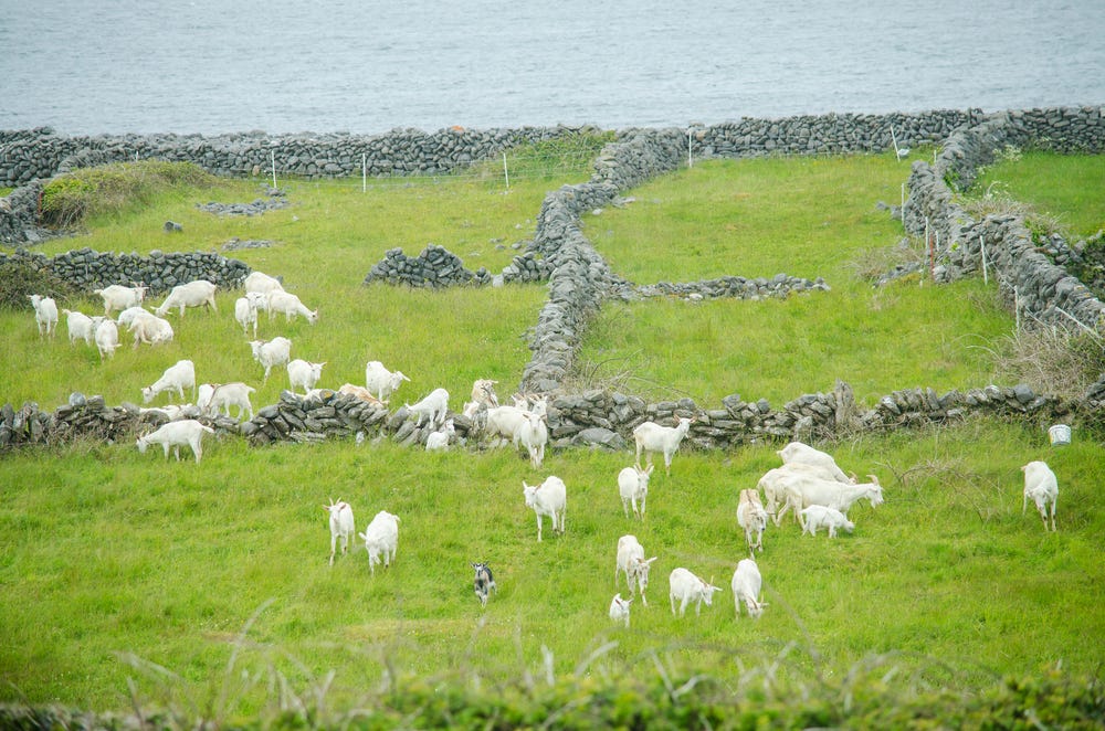 Are The Aran Islands Really Worth Visiting?